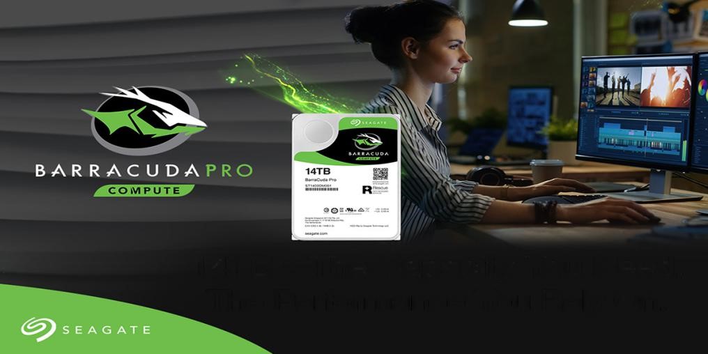 手把手教你如何挑选硬盘，一看就懂 | Seagate India